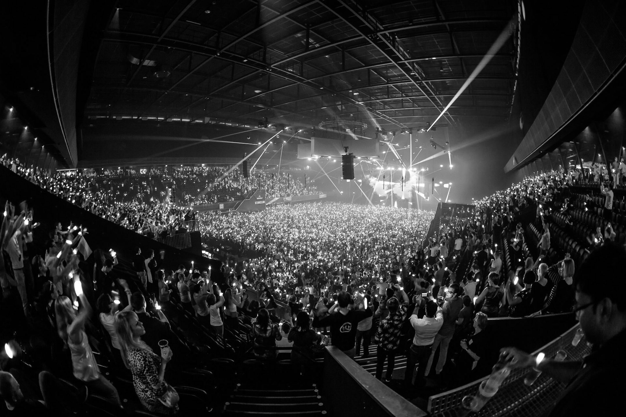 TEAM – Milk & Honey